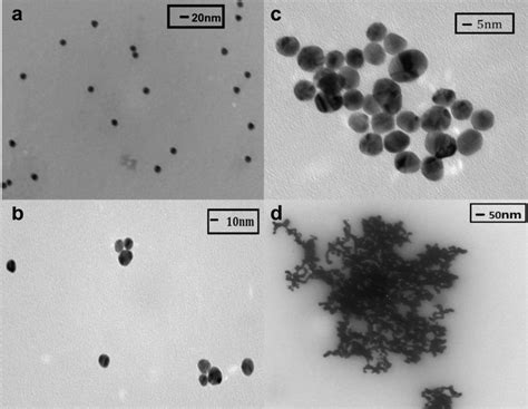 The Morphology Of Aunps In Different Reaction System A Aunp Solution