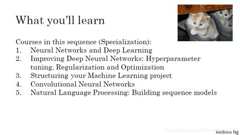 吴恩达 Coursera Ai 第一课总结作业答案ai For Everyone课后测验 Csdn博客