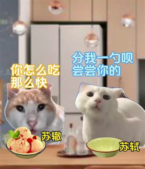 当苏轼和弟弟一起吃冰淇淋时meme小剧场穿越现代搞笑猫咪的迷惑行为 Youtube