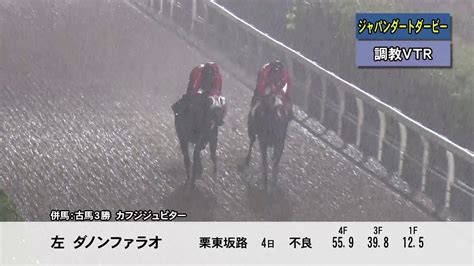 【第22回 ジャパンダートダービーjpni】の調教追い切り動画 Youtube
