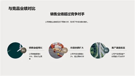 销售策略优化报告 Ppt模板下载