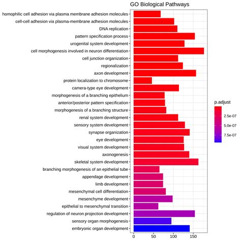 Rna Seq Ingenio Diagnostics
