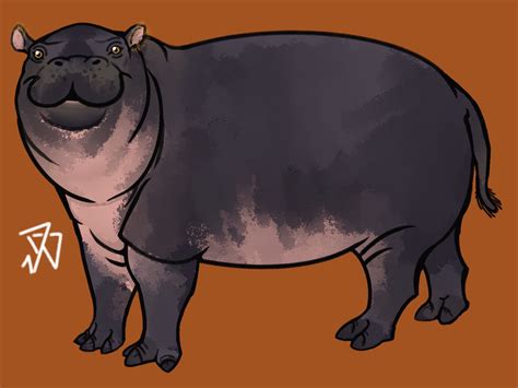 Pygmy Hippo By Astrapionte On Deviantart