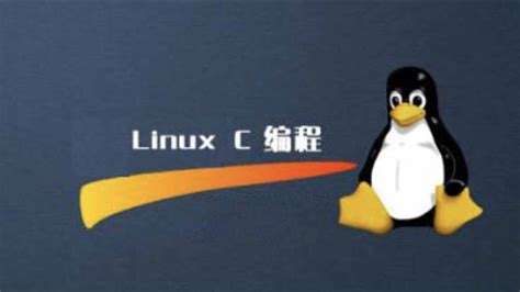 Linux 666资源论坛