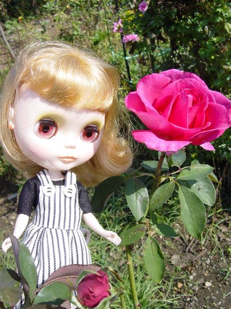 ばら と ビデンス ブライス花便り