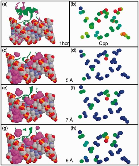 Visualizing The Null Cpp Cpc Correlation Present In Complexes With