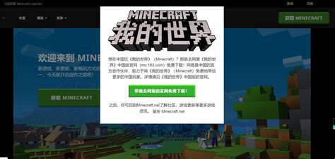 Mc Mojang