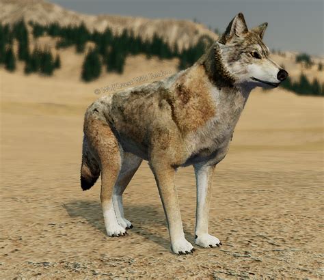 Classic Coats Wolfquest Wiki Fandom