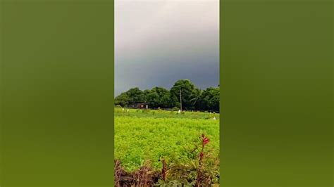 ચોમાસા નો છેલ્લો વરસાદ રાજભાગઢવી Youtubeshorts Farming Trending