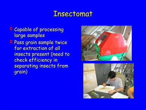 Ppt Detection And Monitoring Of Stored Grain Insects Powerpoint