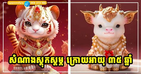 ឆ្នាំទាំង ៤ បើកឃ្លាំងទ្រព្យស្ដុកស្ដម្ភ ក្រោយអាយុ ៣៥ ឆ្នាំ Knongsrok