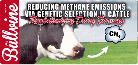 Discover How Genetic Selection In Dairy Cattle Can Revolutionize Farming And Combat Climate