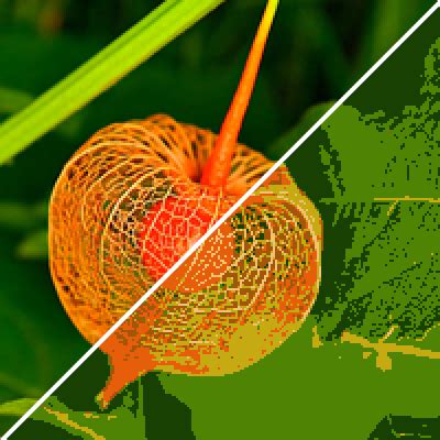 Color Quantization With Export Wolfram Language Example Repository