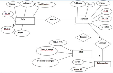 Diagnostic Management System Project Design Ppt 1000 Projects 1000