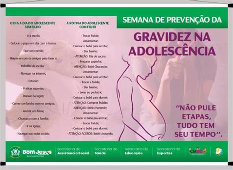 Dinamica Gravidez Na Adolescencia Braincp