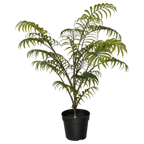 Fejka Artificial Potted Plant In Outdoor Palm 15 Cm Ikea Eesti