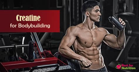 The Beginners Guide To Creatine Loading Dosage Benefits Side Effects
