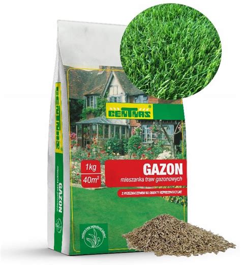 Centnas Trawa Dekoracyjna Gazon Dywanowa 25KG ERLI Pl