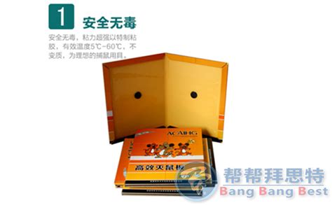 灭鼠公司总结家庭最好最新的灭鼠方法帮帮拜思特连锁集团