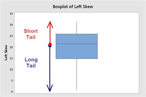 Skewed Distribution Definition Examples Positive Skew Normal Distribution Life Facts