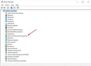 Mouse Settings Keep Resetting On Windows Fixes To Use