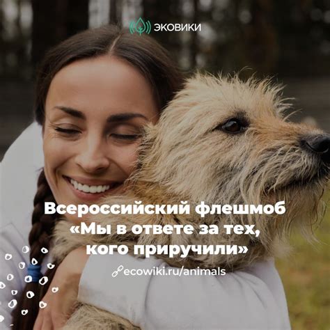 Флешмоб с заботой о бездомных животных