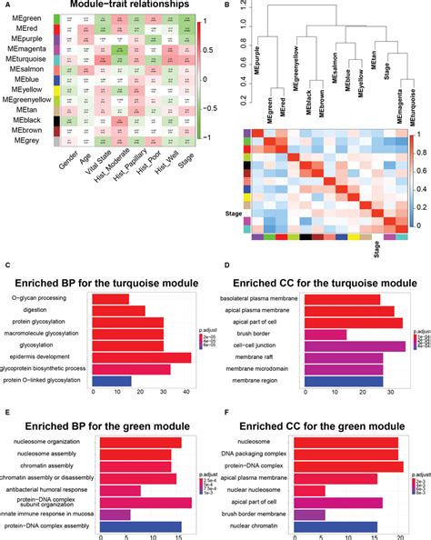 Identification Of Modules Associated With Progression Of Intrahepatic Download Scientific