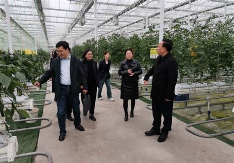 我院园林系教师到江苏德利尔现代农业集团有限公司调研交流 宿迁学院 建筑工程学院