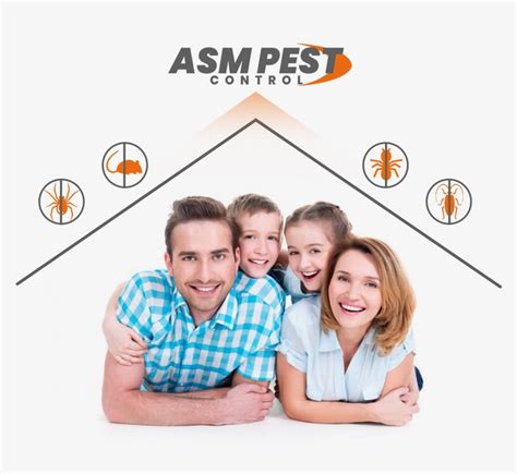 Common House Insects And Quick Prevention Of Infestations In Your Home