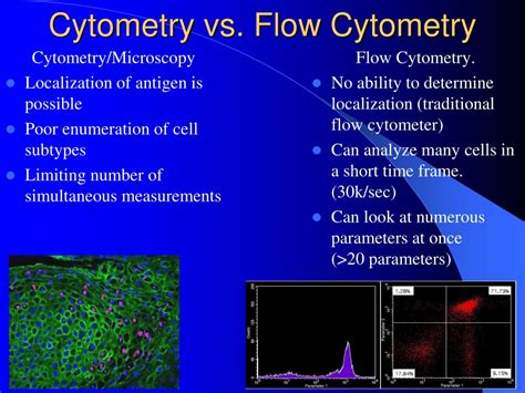 PPT Intro To Flow Cytometry PowerPoint Presentation Free Download ID