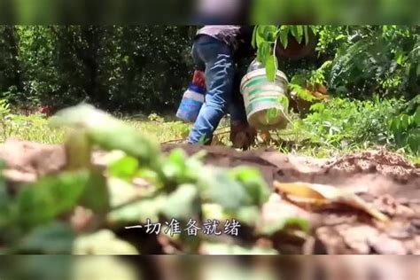 野外发现神秘洞穴，小伙倒点可乐进去，不料钻出这家伙！洞穴可乐小伙
