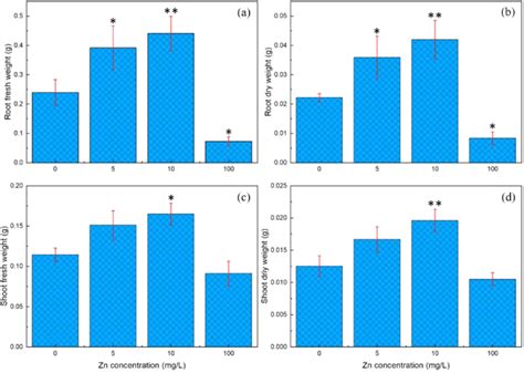 Effect Of Increasing Zn Concentration On Root Fresh Weight A Root