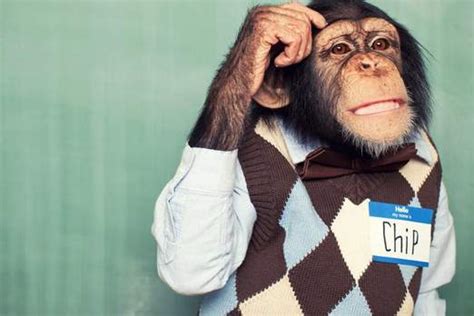 Gregarious Definition And Meaning Merriam Webster