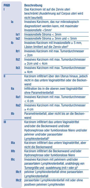 Zervixkarzinom Medizinische Leitlinie Tumorzentrum