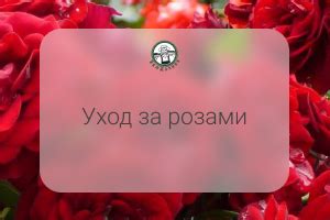 EKODACHNIK.RU - Официальная страничка биопрепаратов ТМ ЭКОДАЧНИК