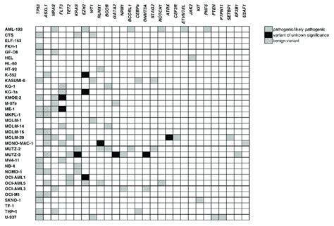 Wt1 Alterations In Different Cell Lines An Overview Of Ngs Results