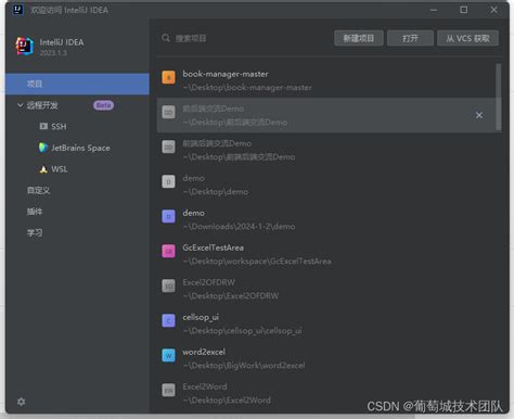 java编程精解：csv转excel xlsx文件的完美指南 java 葡萄城技术团队 葡萄城开发者空间