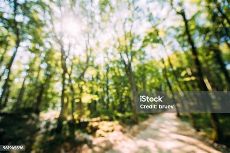 흐리게 추상 Bokeh 노 여름 공원에서 산책로 경로 레인의 자연 배경 0명에 대한 스톡 사진 및 기타 이미지 0명 공원