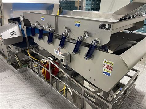 Used Walnut Sorting Line By Key Optyx For Sale In California