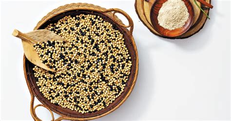 근육 적은 마른 사람·노년층 콩 단백질로 근육 늘려 건강 지킨다