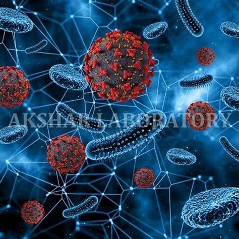 Staphylococcus Aureus Testing Services At Rs 198 Sample In Ahmedabad