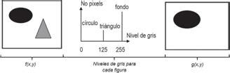 Conceptualización del procesamiento digital de imágenes para la