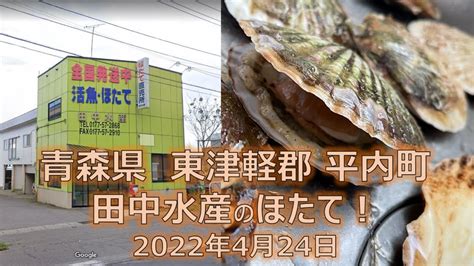 青森県 東津軽郡 平内町 『田中水産のほたて』安くて美味い！ Youtube