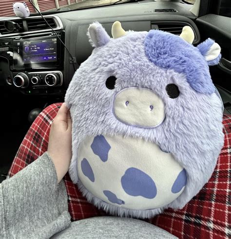 I Cant Believe I Found Him Bubba Has Always Been A Diso R Squishmallow