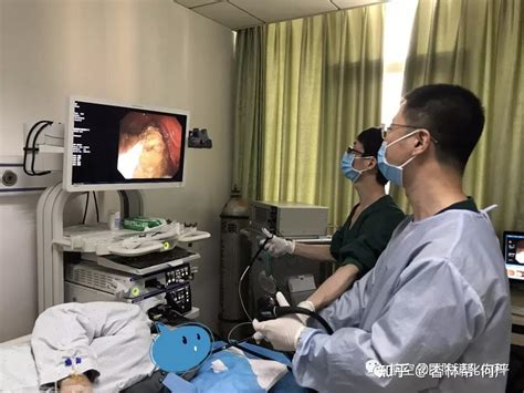 爱吃柿子的你，需要小心胃石症！ 知乎