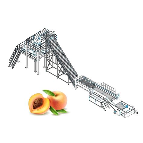 Turnkey Project Whole Plant Orange Processing Line Orange Processing