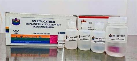 Sn Plant Rna Isolation Kitcolumn Based At ₹ 9500piece Rna