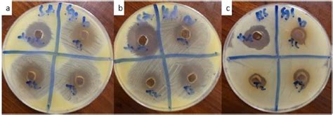 Zones Of Inhibition Zi Of Some Honey Samples Against Tested