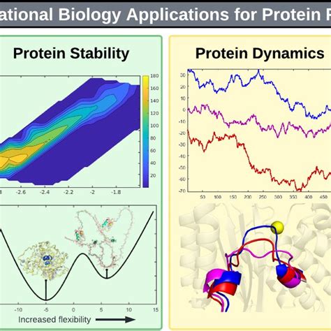 Four Pillars Of Computational Biology The Role Of Protein Structure Is