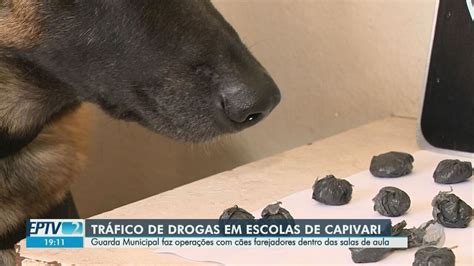 Guarda Localiza Drogas Em Escola E Apreende Adolescente De 17 Anos Em